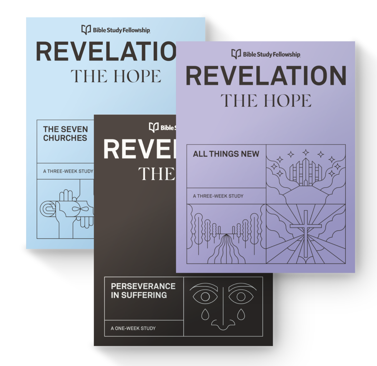 Try BSF - Bible Study Fellowship